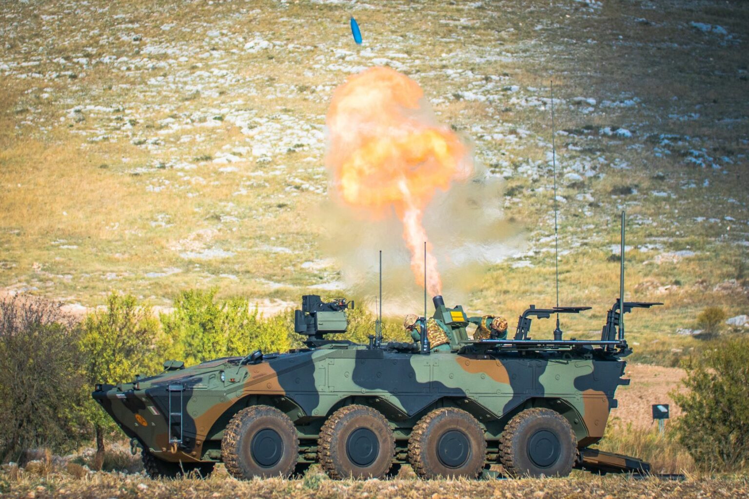 Self-propelled mortar and ammunition overview